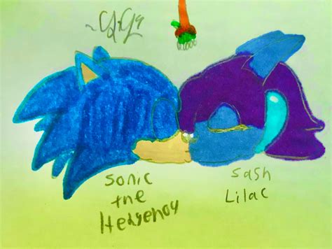 Sonic And Sash Lilac Under The Mistletoe By Lugialover249 On Deviantart