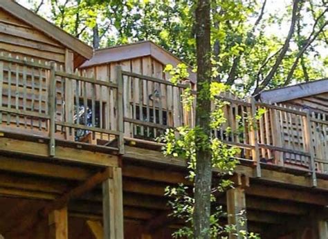 Cabanes Basse Bodeux Location De Cabanes Et Tiny Houses Ardenne