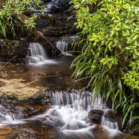 Cascada Twin Falls Ubicada En El Parque Nacional Springbrook 2024