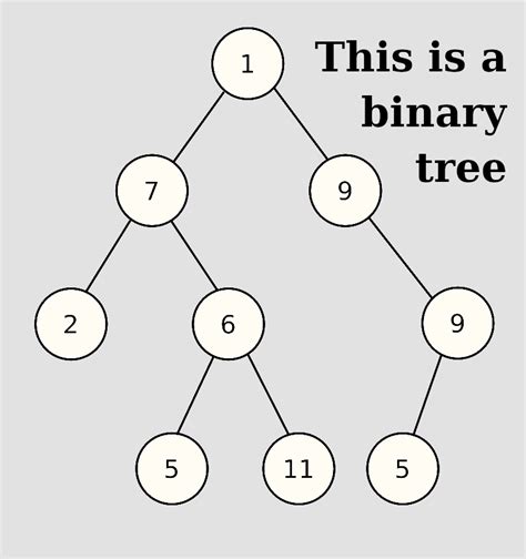 These Boffins Show That The Collatz Tree Is A Hilbert Hotel Matrix Dreams