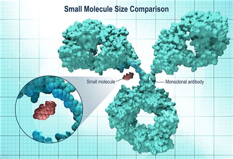 Small Molecule Amgen