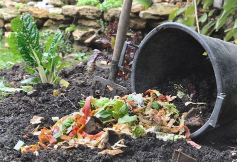 Comment Accélérer La Décomposition Du Compost Au Jardin
