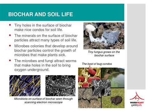 Pdf Making Biochar Fertilizer Warm Heart Worldwide