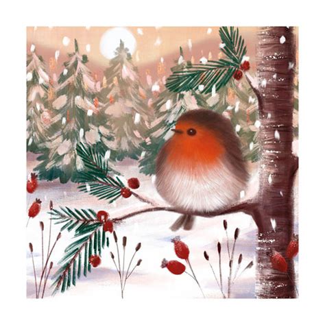 Museums And Galleries Fluffy Robin Boxed Cards Cfex209pk