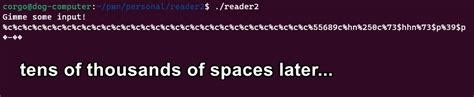 a full guide to format string exploitation 🐕 🪦