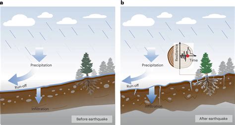 Earthquakes And Trees Earthquakes Mema