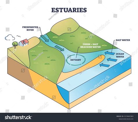 3 894 Deltas And Estuaries Gambar Foto Stok And Vektor Shutterstock