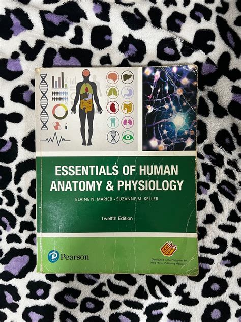 Essentials Of Human Anatomy And Physiology 12th Edition Hobbies And Toys