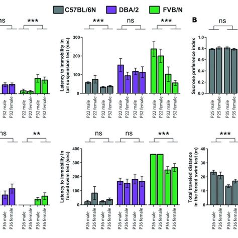 Mouse Cohorts Number And Age Of The Adolescent Mice Used In The