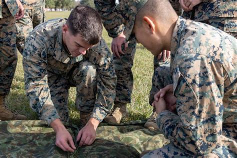 Clb 24 Camouflage Netting Demonstration