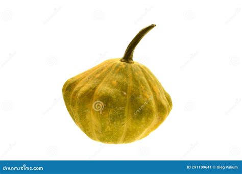 Patisson Isolated On White Background Stock Image Image Of Bright Isolated 291109641