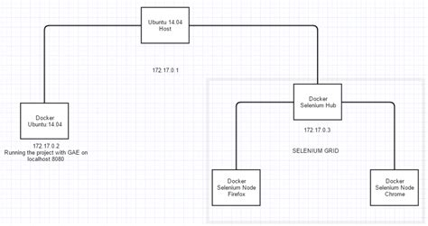 Network Programming PHPUnit Selenium Tests Fail On Docker Localhost And Pass Using Public IP