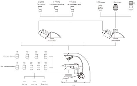 Bm36 Series Biological Microscope Icoeind