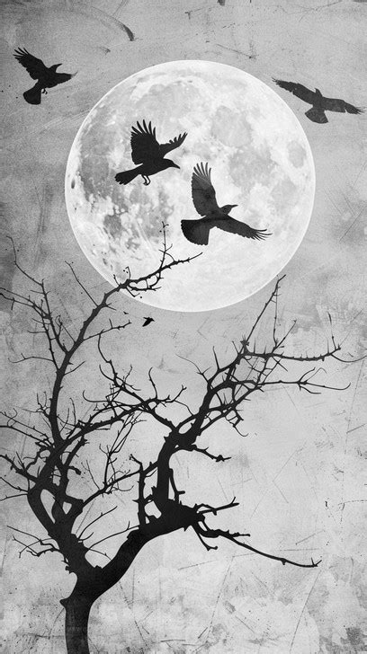 Raven Flying Drawing