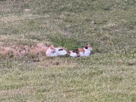 주란 1ee Ju Ran • Instagram Photos And Videos