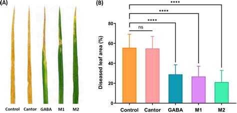 Disease Severity On Wheat Plants Cultivar Alixan Against Zymoseptoria Download Scientific