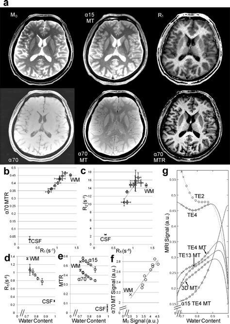 Magnetization Transfer Mri Provides Proton Density Contrast In Brain