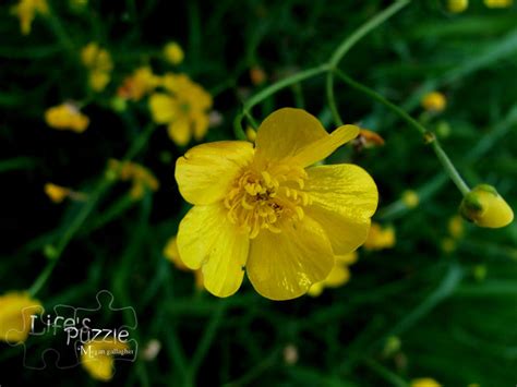 Itsy Bitsy Teeny Weeny By Museick Photography On Deviantart