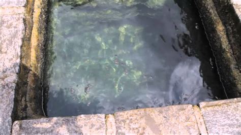 Sri Lanka Destinations Kanniya Hot Water Springs Wells Youtube