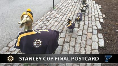 Stanley Cup Final Postcard Boston Public Garden