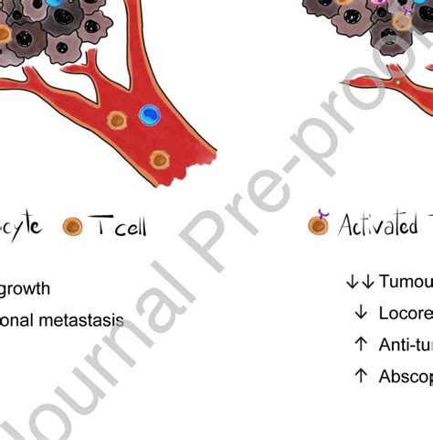 Figure S1 Immunostaining For Melanoma Marker Melan A And S100β A