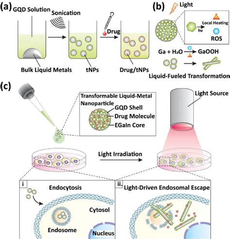 A Synthesis Of The Transformer Nanoparticles With The Help Of