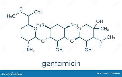Gentamicin Antibiotic Drug Aminoglycoside Class Molecule Skeletal