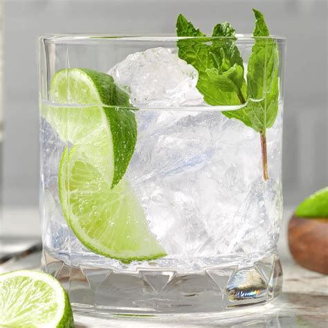 Gin And Tonic Recipe How To Make It