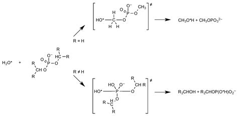 Phosphate Ester Synthesis