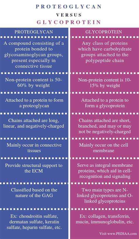 Difference Between Proteoglycan And Glycoprotein Pediaacom