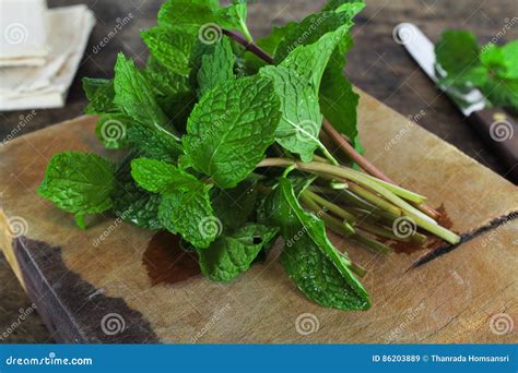Mint Leaf Aromatic Herbs Stock Image Image Of Ingredient 86203889
