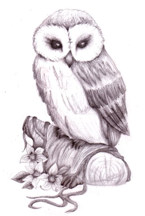 Owl Pencil Drawing Capturing The Enigmatic Beauty Of Nature