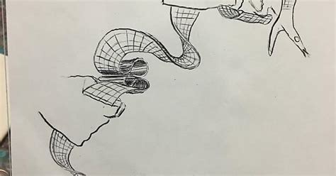 Doomed Ribbon Eel Album On Imgur