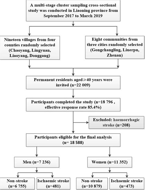 Flowchart For Participant Selection Download Scientific Diagram