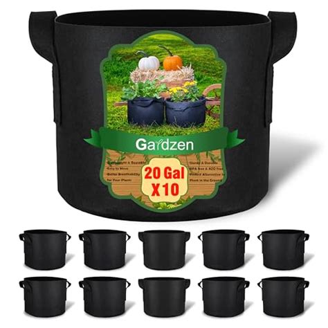 Best 20 Gallon Pots For Trees And Plants Durable Nursery Options For