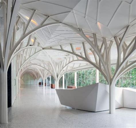 Tree Columns Rarchitectureporn