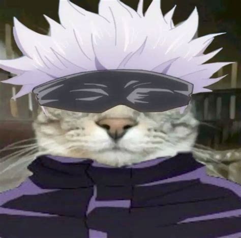 Cat Cosplay As Gojo Satoru Arte De Tiburón Gato Gracioso Plantillas