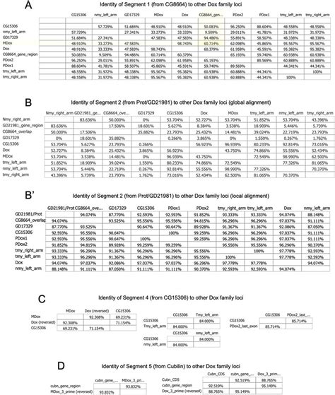 Blast Identity Matrices For Components Of The Dox Meiotic Driver Blast Identity Matrices For Components Of The Dox Meiotic Driver