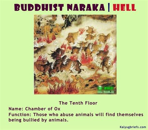 According To Some Schools Of Hinduism Sikhism Jainism And Buddhism