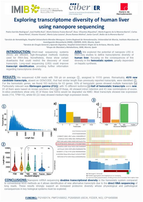 Exploring Transcriptome Diversity Of Human Liver Using Nanopore Sequencing