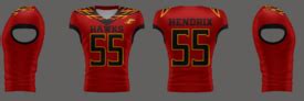 Baltimore Hawks Sim Football Wiki