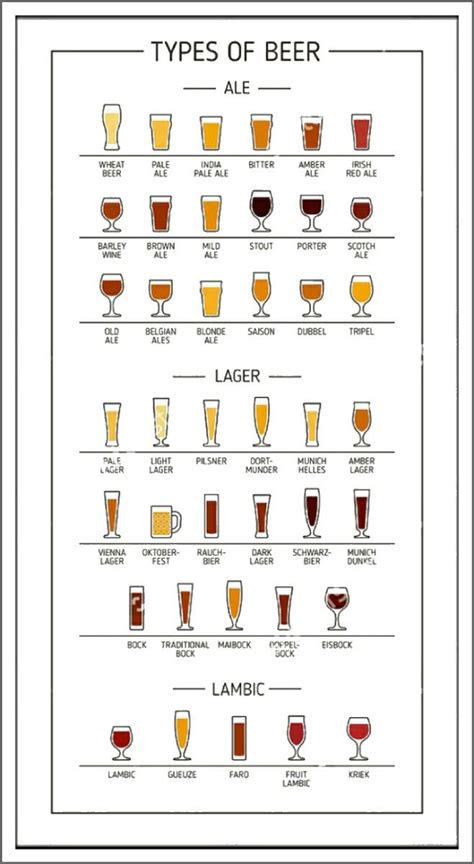 Beer Glass Buying Guide Types Shapes Sizes Explained Artofit