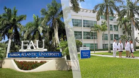 5 Best Game Design Schools In Florida