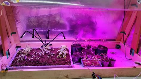 Agritech Smartfarming Greenhouseautomation Iot Ai Machinelearning Tony Currà