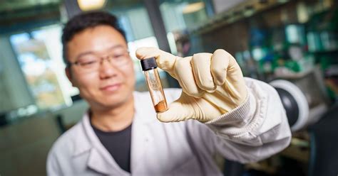 Healable Cathode Could Unlock Potential Of Solid State Lithium Sulfur Batteries Batteries News