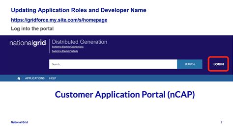 Updating Application Roles And Developer Name