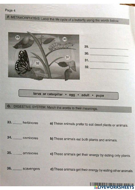 Knowledge Topic 2 4th Worksheet Live Worksheets