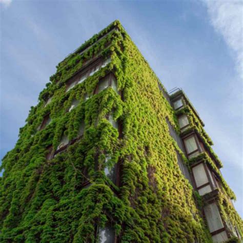 Green Building Certification IGBC GRIHA And LEED Greenex Environmental