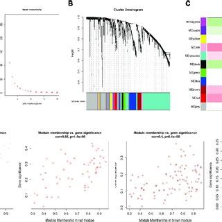 Weighted Gene Correlation Network Analysis Wgcna A Analysis Of