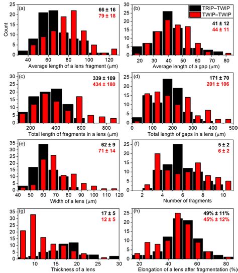 Distribution Of Geometrical Parameters In Absolute Numbers Counts